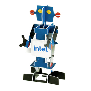 | The Intel Store